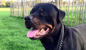 Facebook Automatically Generates ASCII Art From Your Pictures