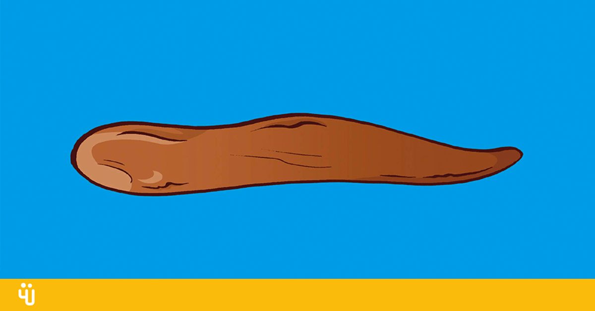 Yes, This Is A Pantone-Style Guide To Poo