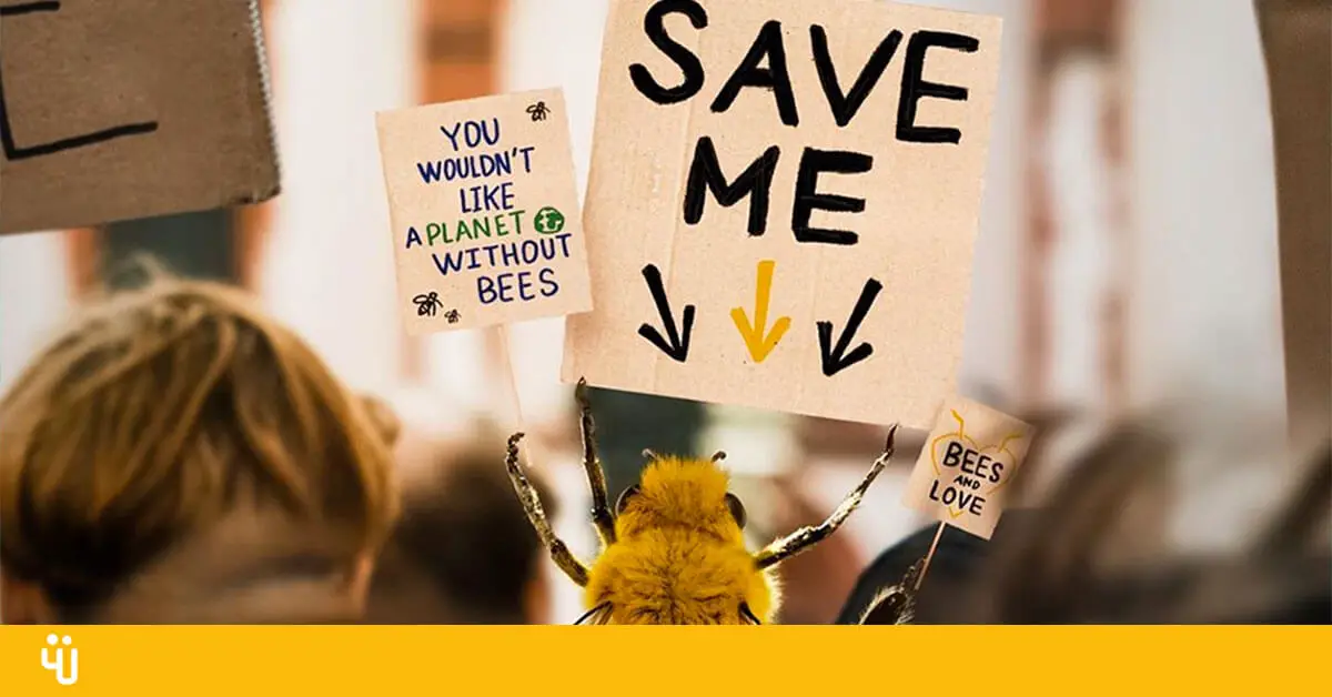 Meet The World’s First Bee Influencer On Social Media