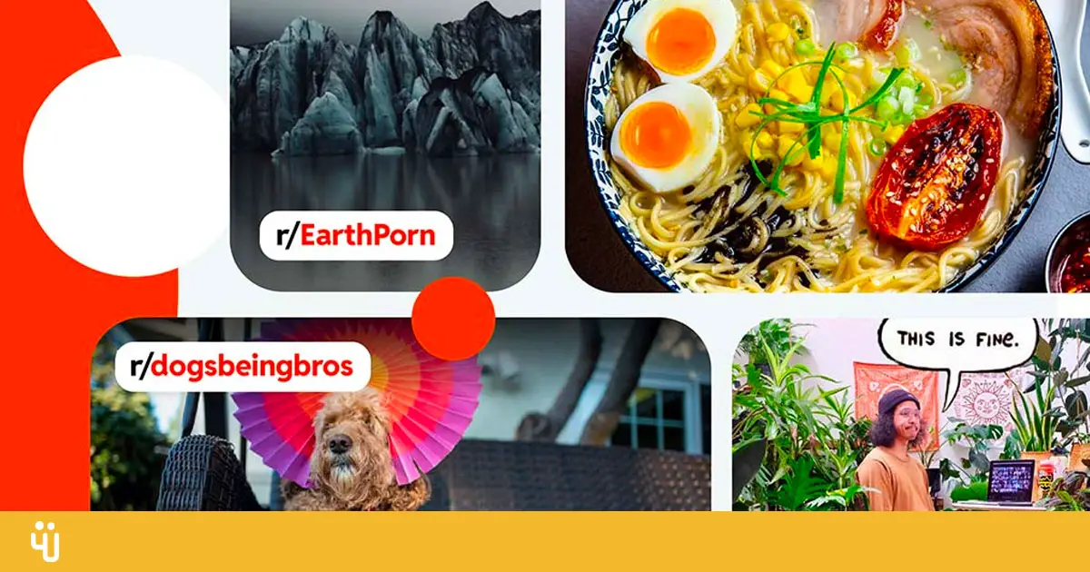 Reddit Unveils New Discover Tab, Community, And Profile Drawers